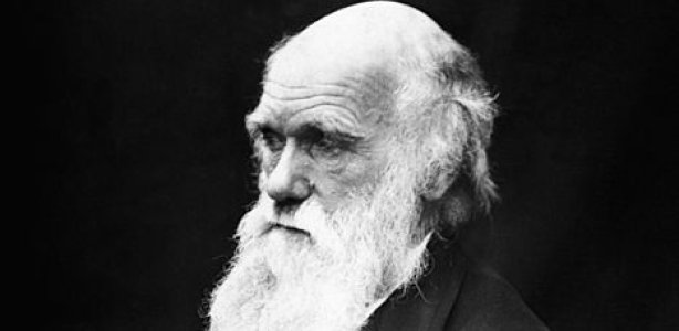 Charles Darwin: Bedenker van de evolutietheorie | IsGeschiedenis